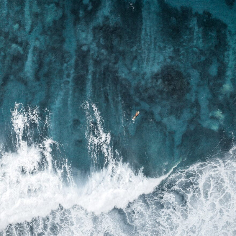 Celebrating World Oceans Day: Ways You Can Make a Positive Impact - The ...