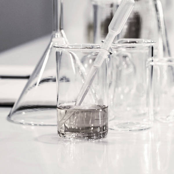SLS, SLES, and SCI: What's the Difference? - The Earthling Co.