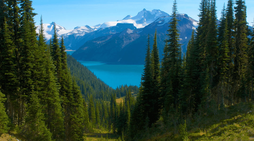 Sustainability September: How Our Community Is Creating Real Change ...