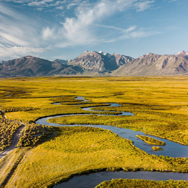 The Earthling Co.’s 2022 Impact Wrapped: Our Biggest Wins for People ...
