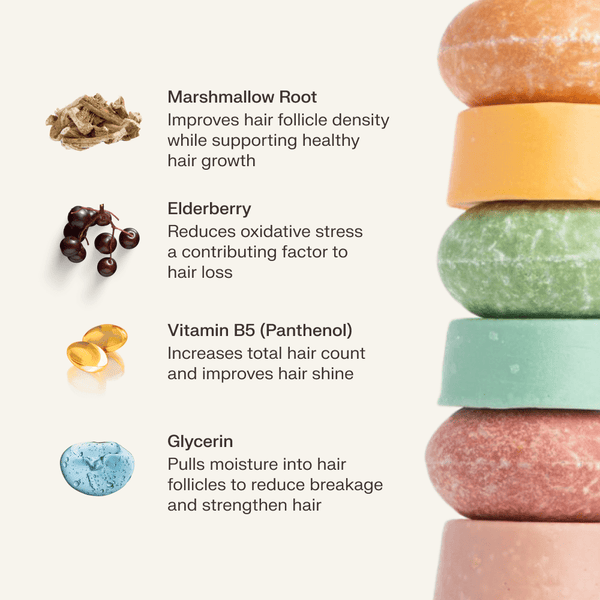Shop Bestselling Shampoo Bar for Strength, Volume | The Earthling Co.
